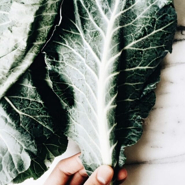 What Fruits & Vegetables are in Season? | Seasonal Produce List